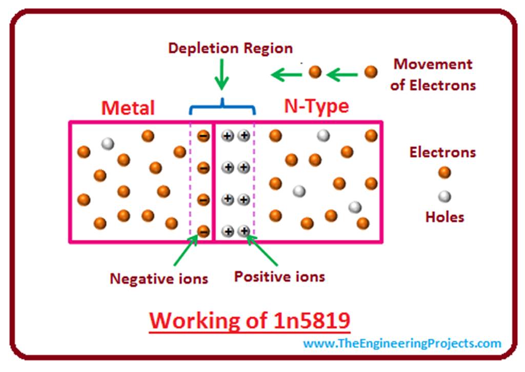 Introduction to 1n5819 - The Engineering Projects