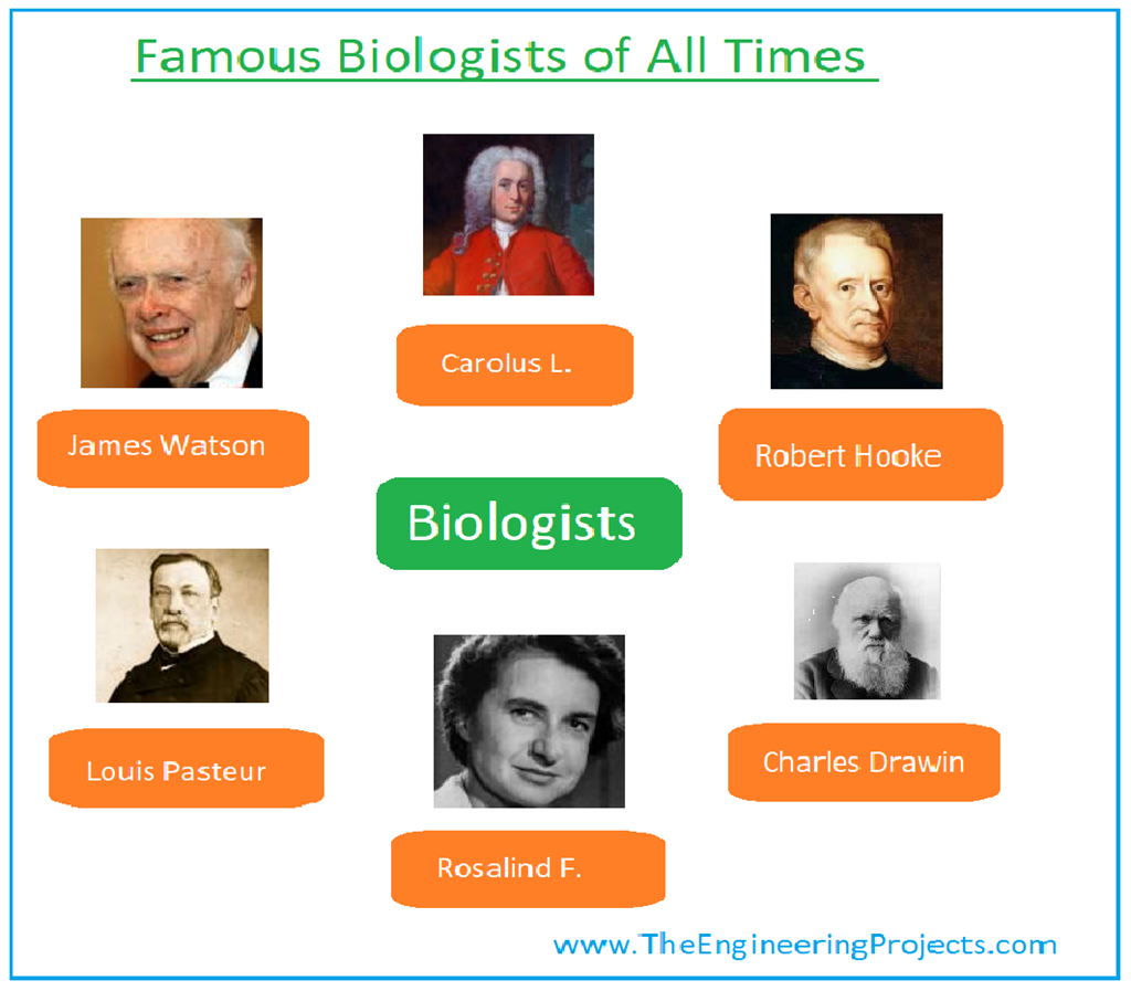 What is Biology? Definition, Branches, Books and Scientists - The ...