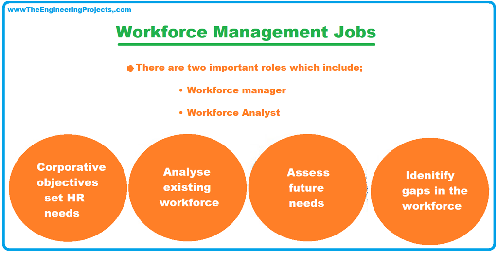Workforce Management: Definition, System, Software, Courses & Jobs ...