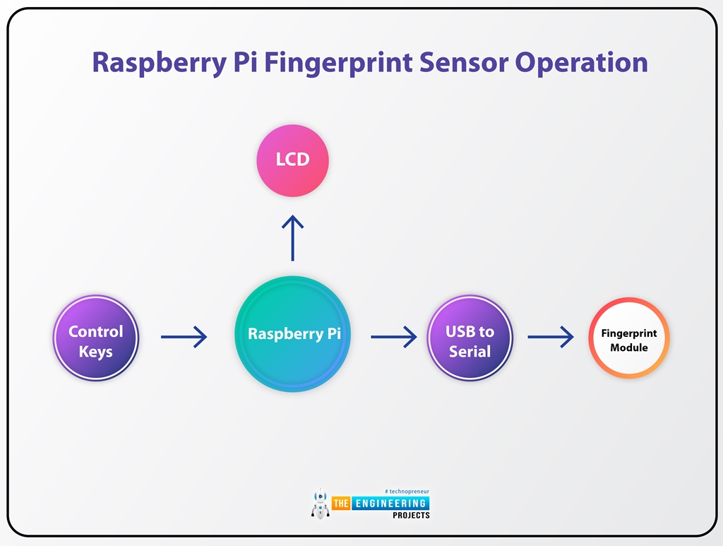 Interface a Fingerprint Sensor with Raspberry Pi 4 - The Engineering Projects