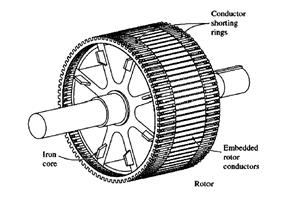 3 Phase Induction Motor - The Engineering Projects