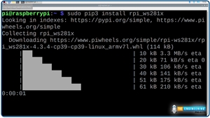Interface a Ws2812 RGB with Raspberry Pi 4 - The Engineering Projects