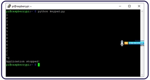 Interface 4x4 Keypad with Raspberry Pi 4 - The Engineering Projects