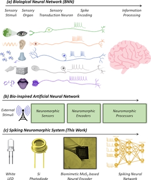 Spiking Neural Network (SNN) and its Applications - The Engineering Projects