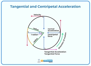 Acceleration: Definition, Types, Mathematical Representation and ...