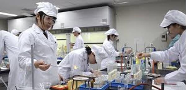 Bachelor's degree in Engineering - The Engineering Projects