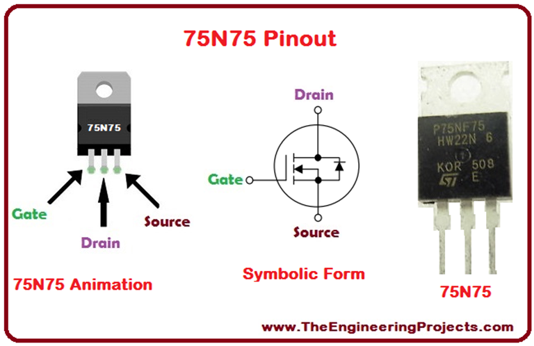 Introduction to 75N75 - The Engineering Projects