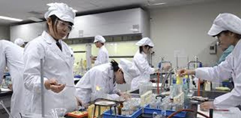 Bachelor's degree in Engineering - The Engineering Projects