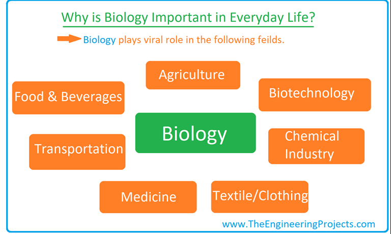 What is Biology? Definition, Branches, Books and Scientists - The ...