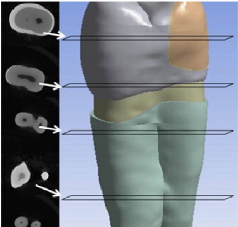 What is Prototyping? Meaning, Types, Process, Tools and Examples - The ...