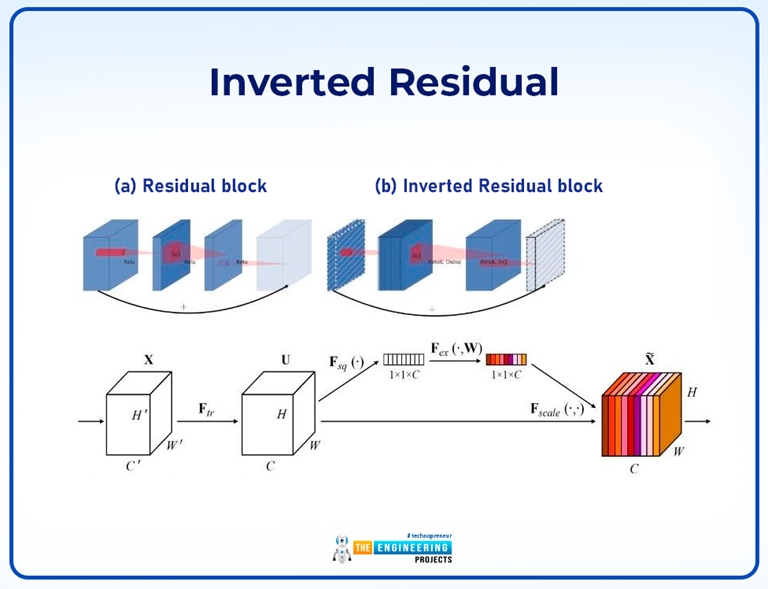 EfficientNet Neural Network: Definition, Working, Features - The ... EfficientNet Neural Network: Definition, Working, Features - The ...