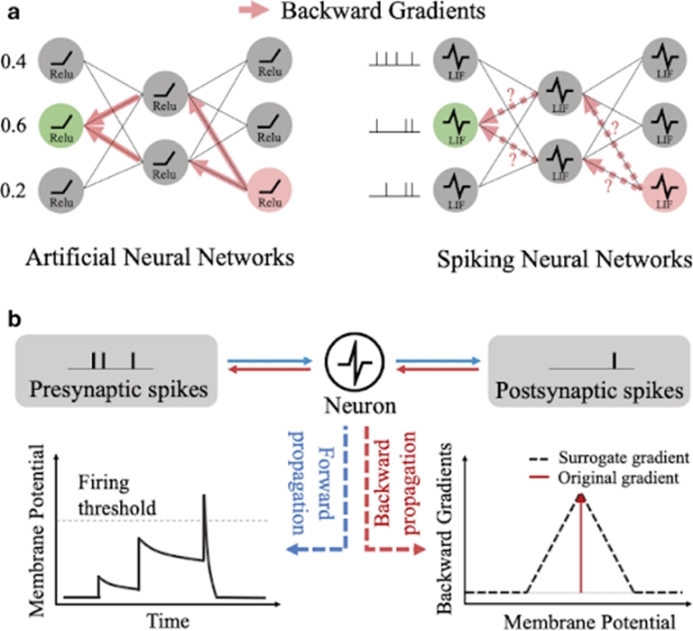 Spiking Neural Network (SNN) and its Applications - The Engineering ... Spiking Neural Network (SNN) and its Applications - The Engineering ...